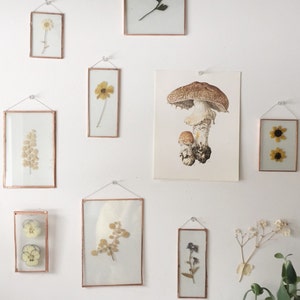 REAL FLOWER LIGHTER Pink Refillable Lighter With Real Pressed Forget Me ...