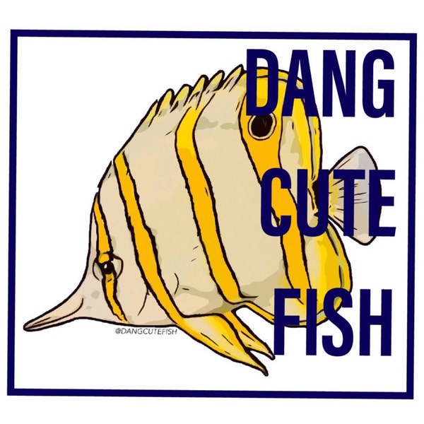 Magnet Set Three Funky Freshwater Fish Bichir, Knifefish, Humphead ...