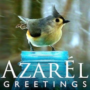 AzarelGreetings | Etsy