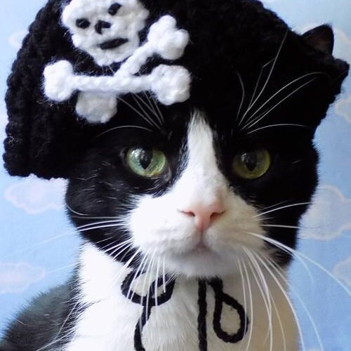 CraftyCatMinis - Etsy