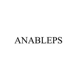 AnablepsStudio - Etsy