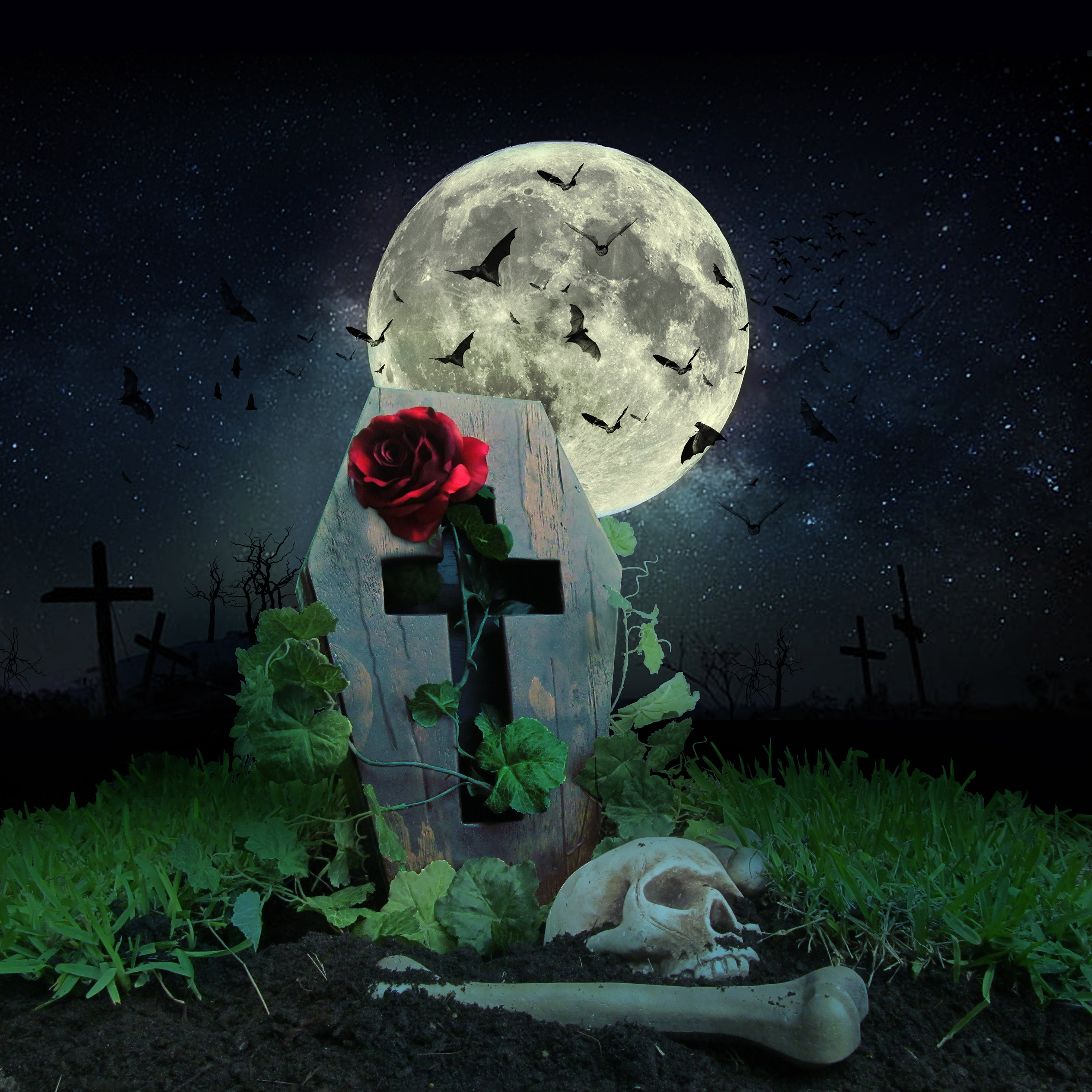 Life After Death Designs - Design Talk