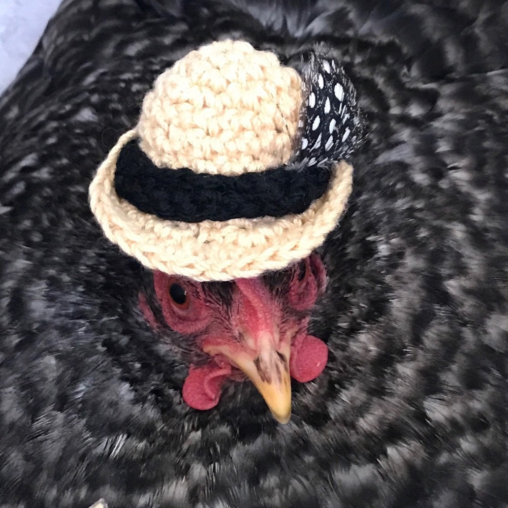 HereChookChook - Etsy