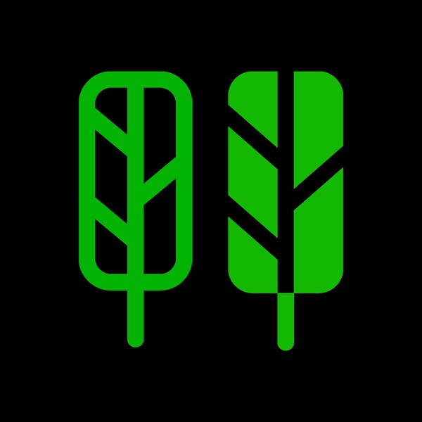 Carolina Wren Original Charcoal Drawing Printable PDF - Etsy