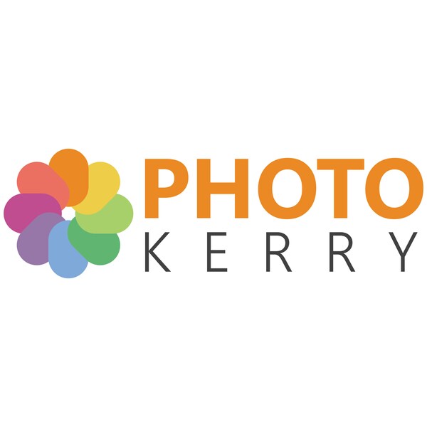 Mullins Family Coat of Arms and Family History Print - Etsy