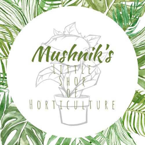 MushniksPlantShop - Etsy