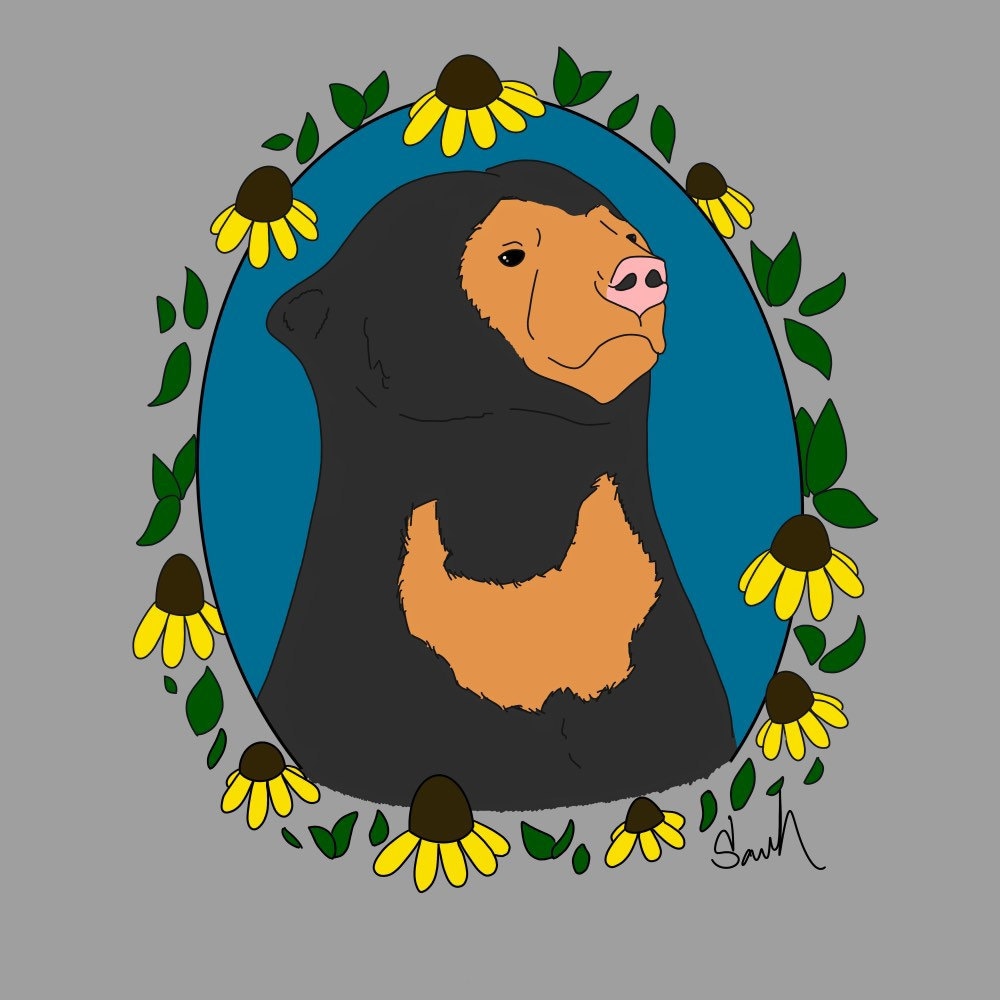 SunBearGraphics on Etsy
