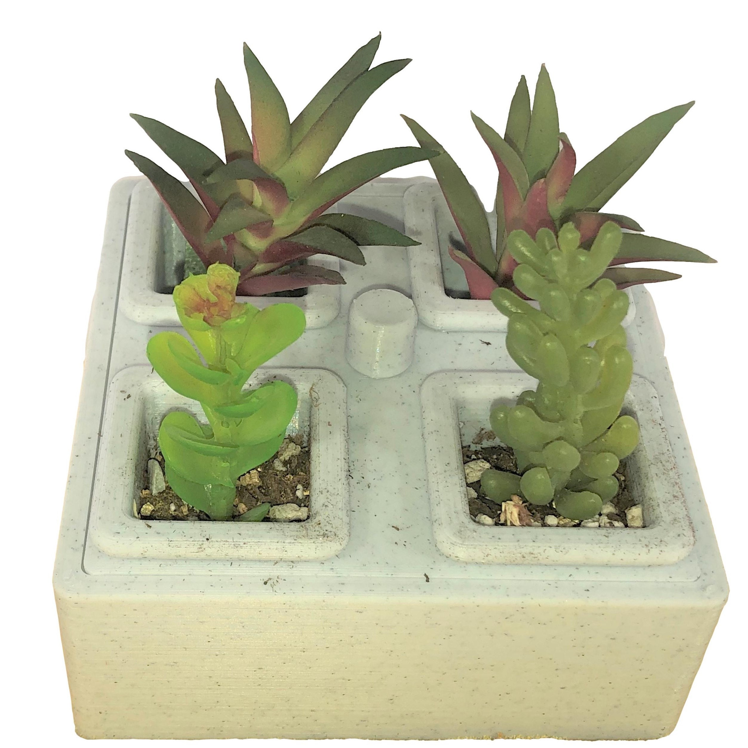 Succulent Pot Triangular Flower For Succulents Air Plant Holders ...
