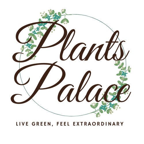 PlantsPalace - Etsy