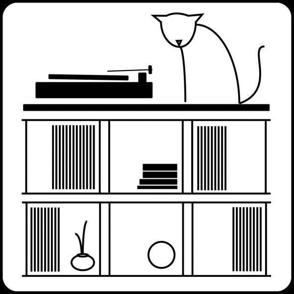 Record Storage Double Wide Box Design Your Own - Etsy