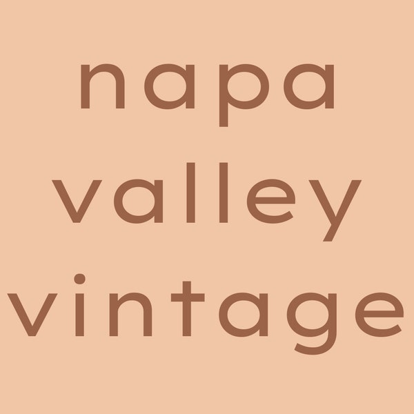 1960s STRUCTURED Trapezoid Leopard Handbag PURSE New Fall Winter - Etsy