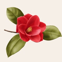 38 Types of Dumbbell Exercise Illustrations and 1 Type of Poster File ...