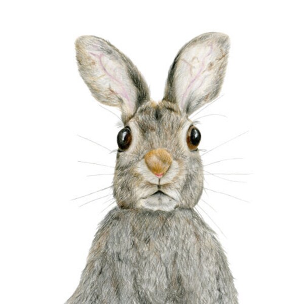 Pastel De Nata Sticker Pack 3 Sizes Pastry Realistic Illustration Egg ...