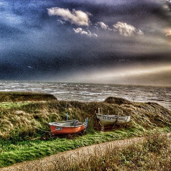 Cath Kidston Summer Birds on Sage Green FQ Fat Quarter FQ 50cm X 50cm ...