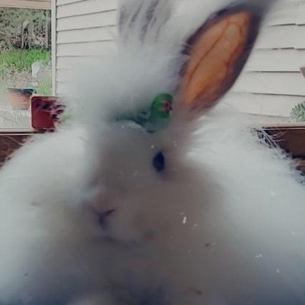 Resin Drop Spindle - Etsy