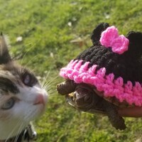 Alien in Spaceship Costume for Turtle/tortoises - Etsy