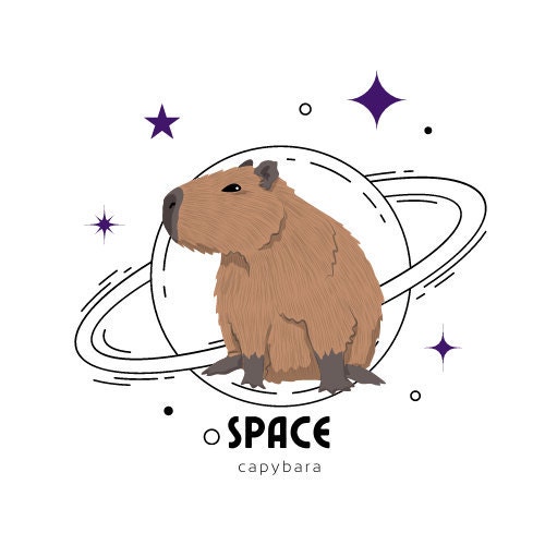 SpaceCapybara - Etsy