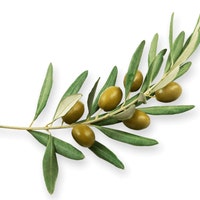 Pablo Picasso First Steps Canvas,picasso,picasso Canvas Decor,picasso ...