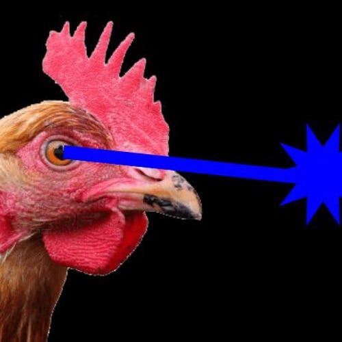 LaserChickenStudio - Etsy