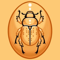 Number 1 Bug Enthusiast Iron-on Patch / Entomologist / Entomology ...