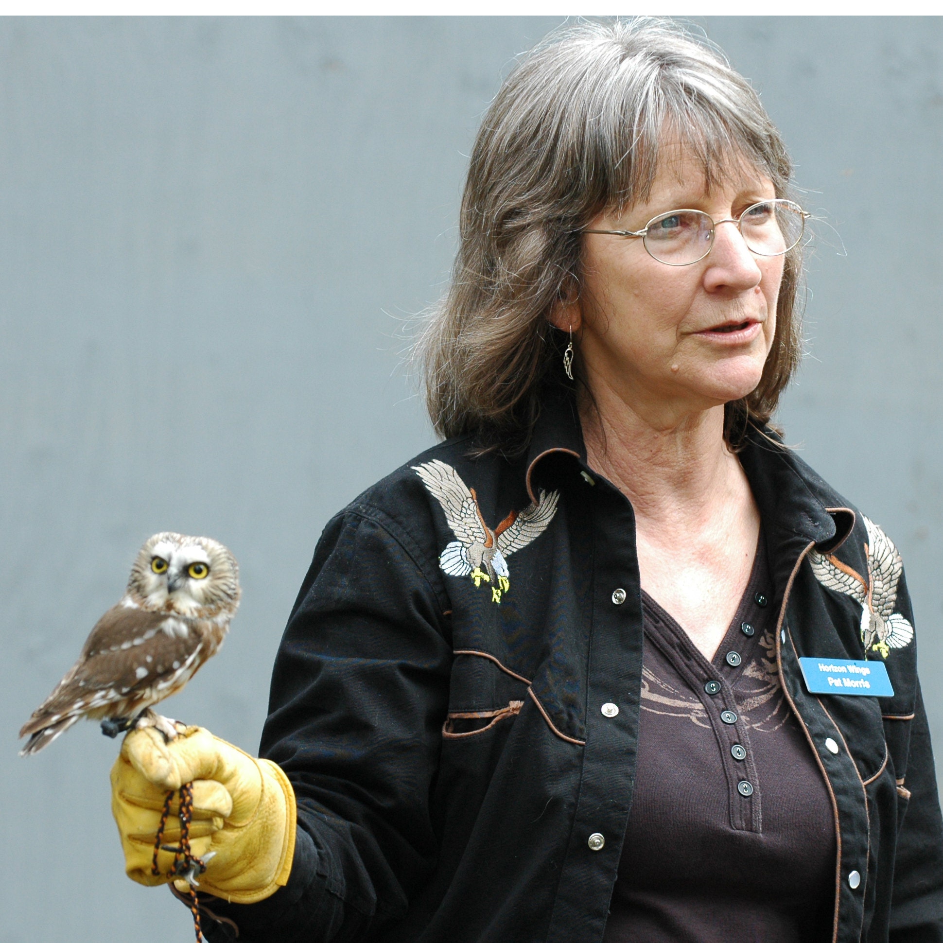 patmorrisartist - Etsy