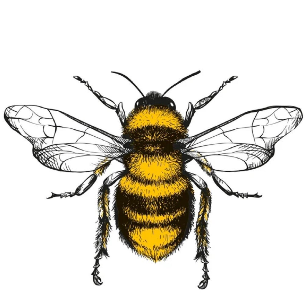 MissBumbleBeeCrystal - Etsy