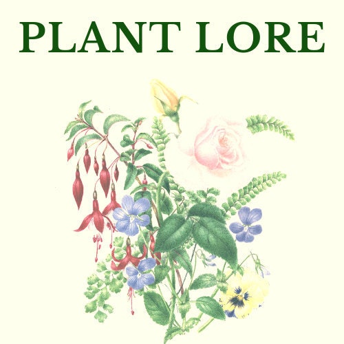 PlantLore - Etsy UK