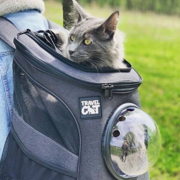 The Navigator Convertible Cat Backpack Pet Bag Outing, Breathable Pet ...