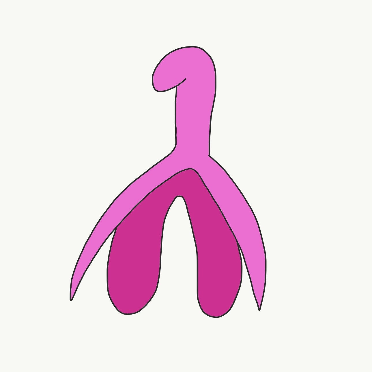 Sexuality Empowerment and Wellness Products by Clitoriscious