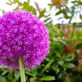 Supplies for unique fun DIY sewing projects. by JennyFamtasticSews