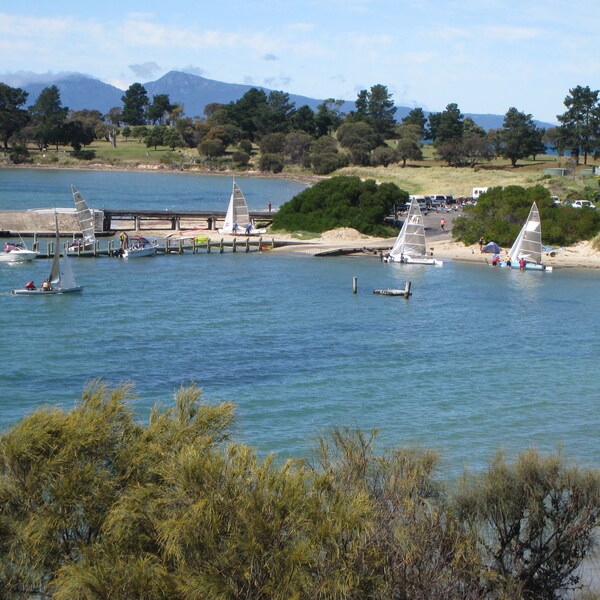 4 Vintage Buttons White Large Fluted Profile Patterned Edge Plastic ...