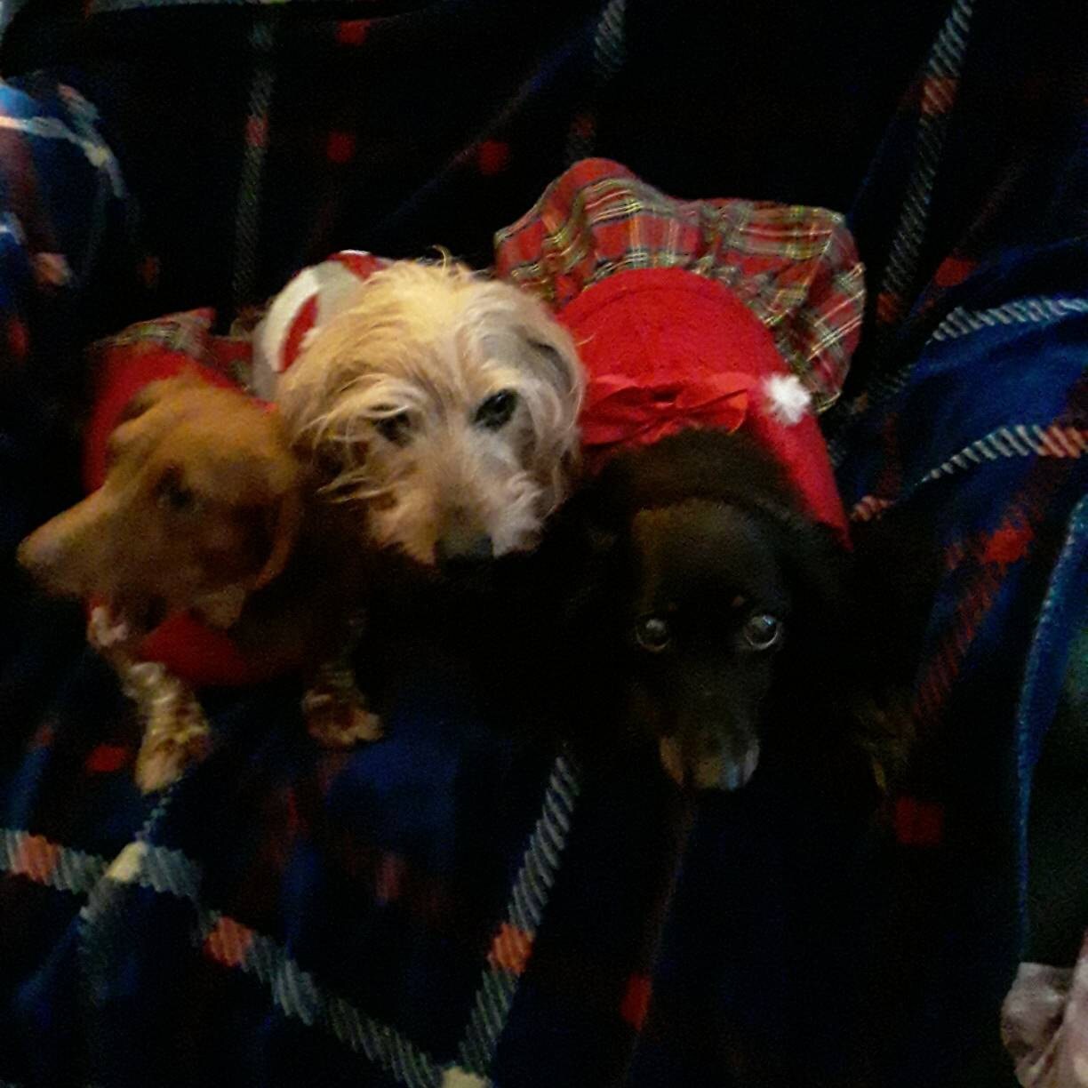 SecondHandSallysShop - Etsy