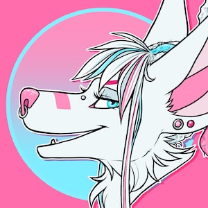 Reference Sheet Furry / Anthro / Fursona/ Custom Character Illustration ...