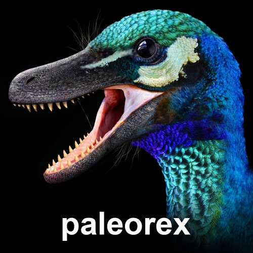 paleorex - Etsy