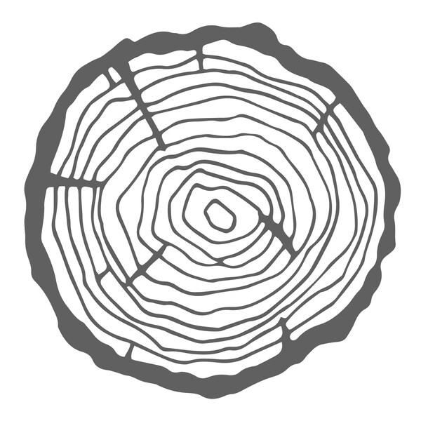 Custom Living Wall Moss Art Wall Deco - Etsy