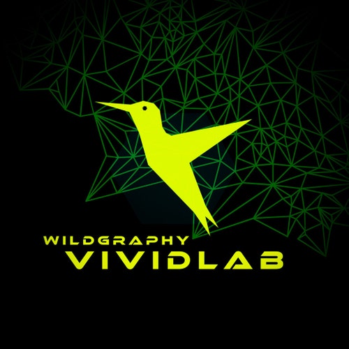 VIVIDLAB - Etsy