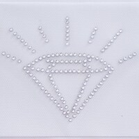 Spider Web Appliqué, Crystal Spider Web Iron On, Rhinestone Spider Web ...