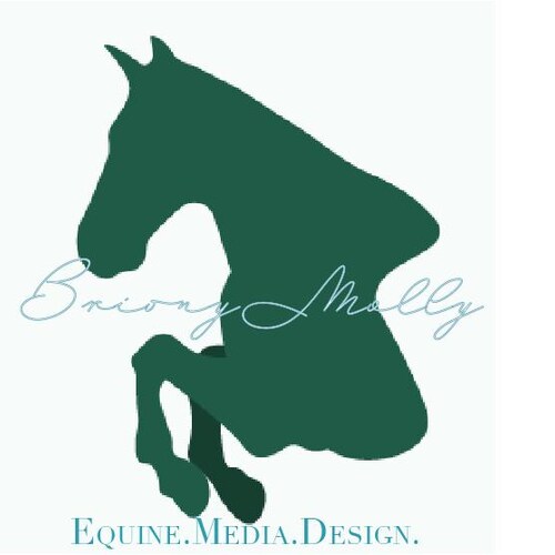 BrionyMollyMedia - Etsy