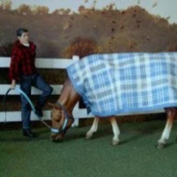 6 6 Number Six Thoroughbred TB Race Horse Racehorse Race Cloth Back ...