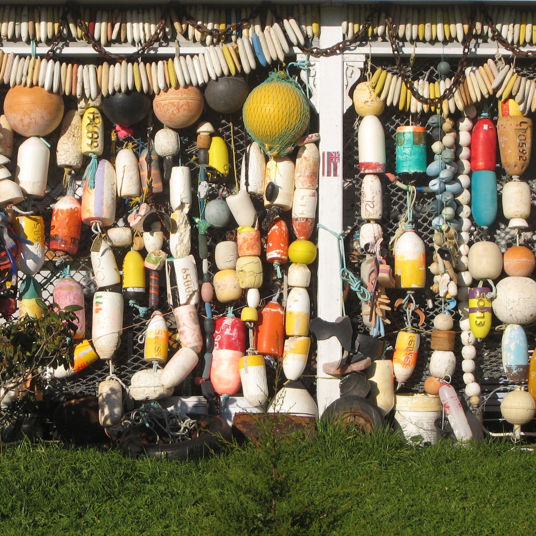 BethBohnHawaii - Etsy