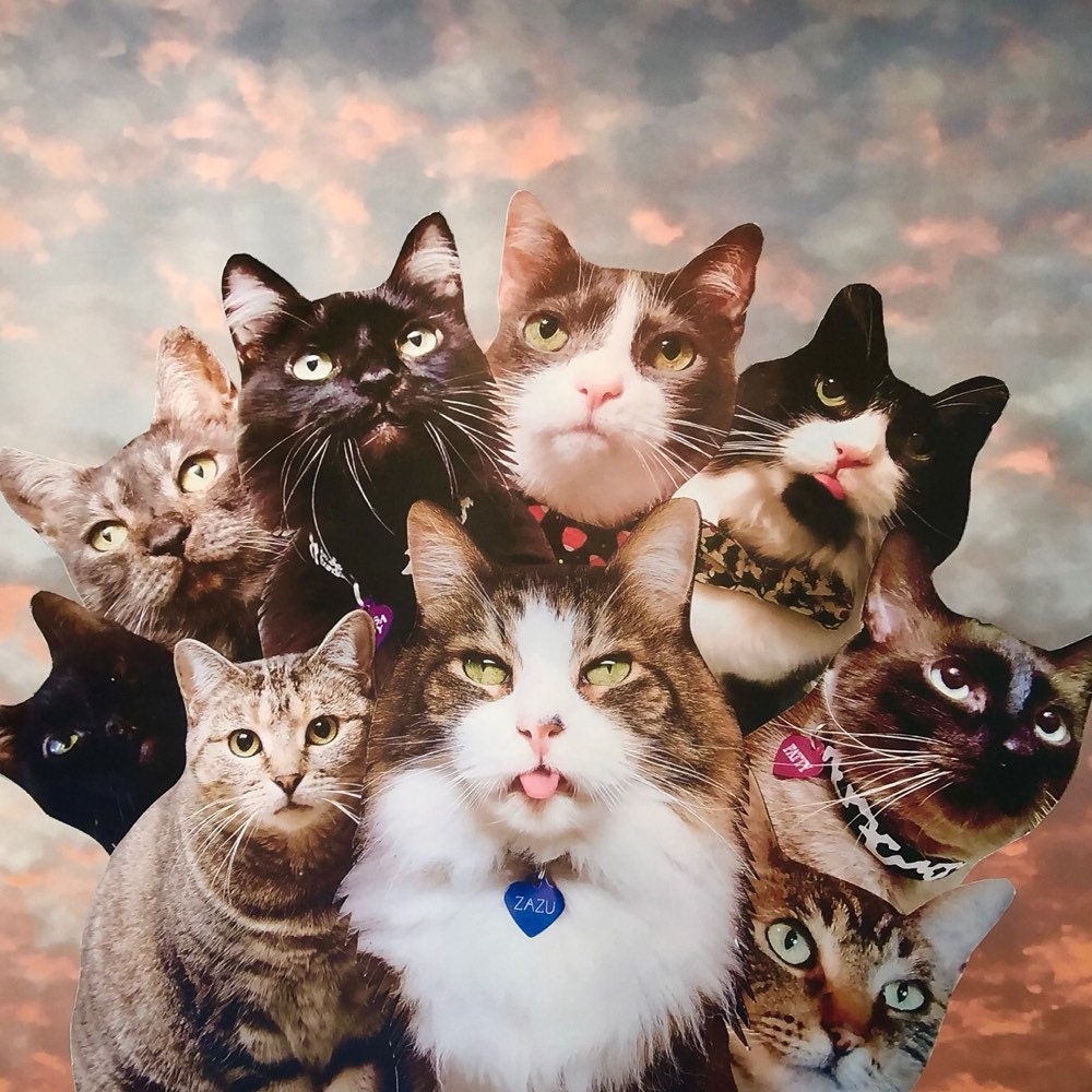 showmealittlesign - Etsy