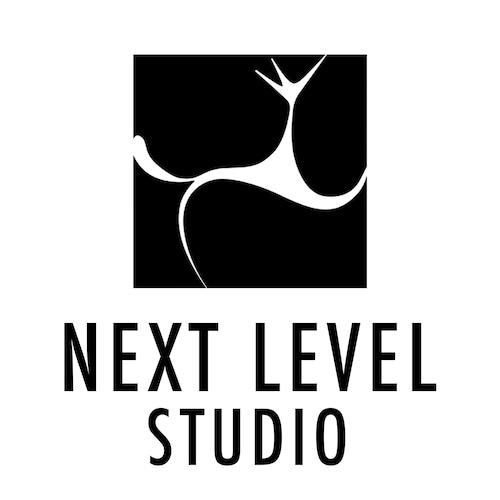 NextLevelStudio - Etsy