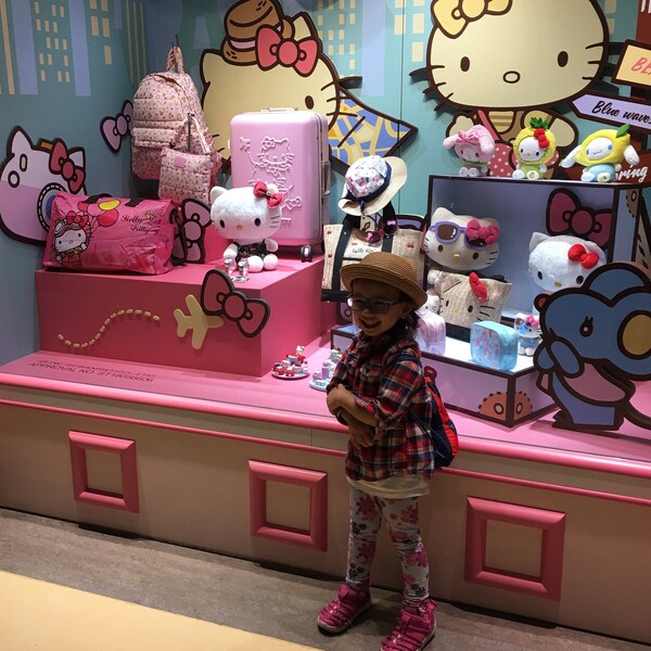 Appa Save the Flying Bison Tea Avatar Inspired Coffee Beer Can Glass 13 ...