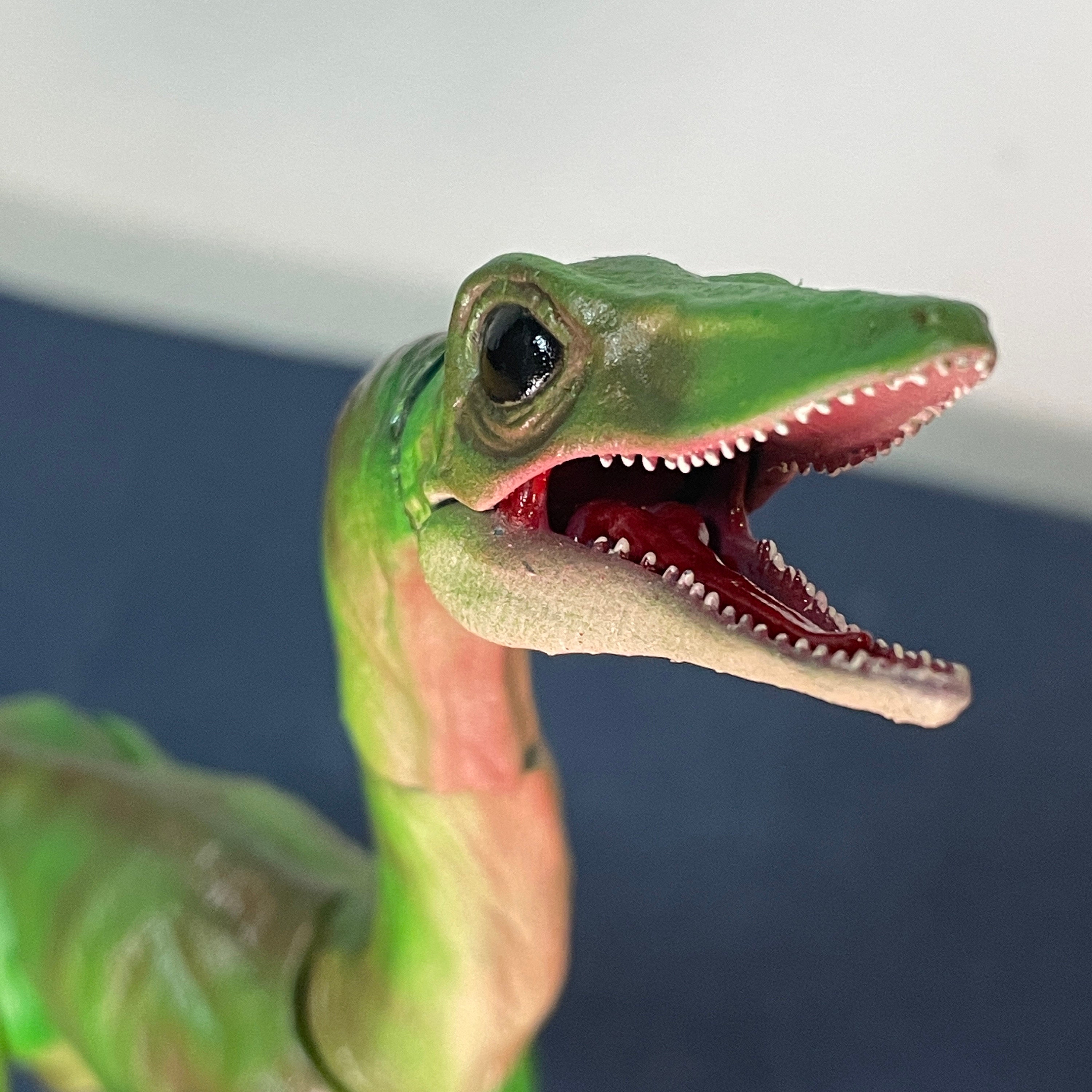 Amber collection raptor replacement heads. Art Dolls Dolls & Miniatures ...