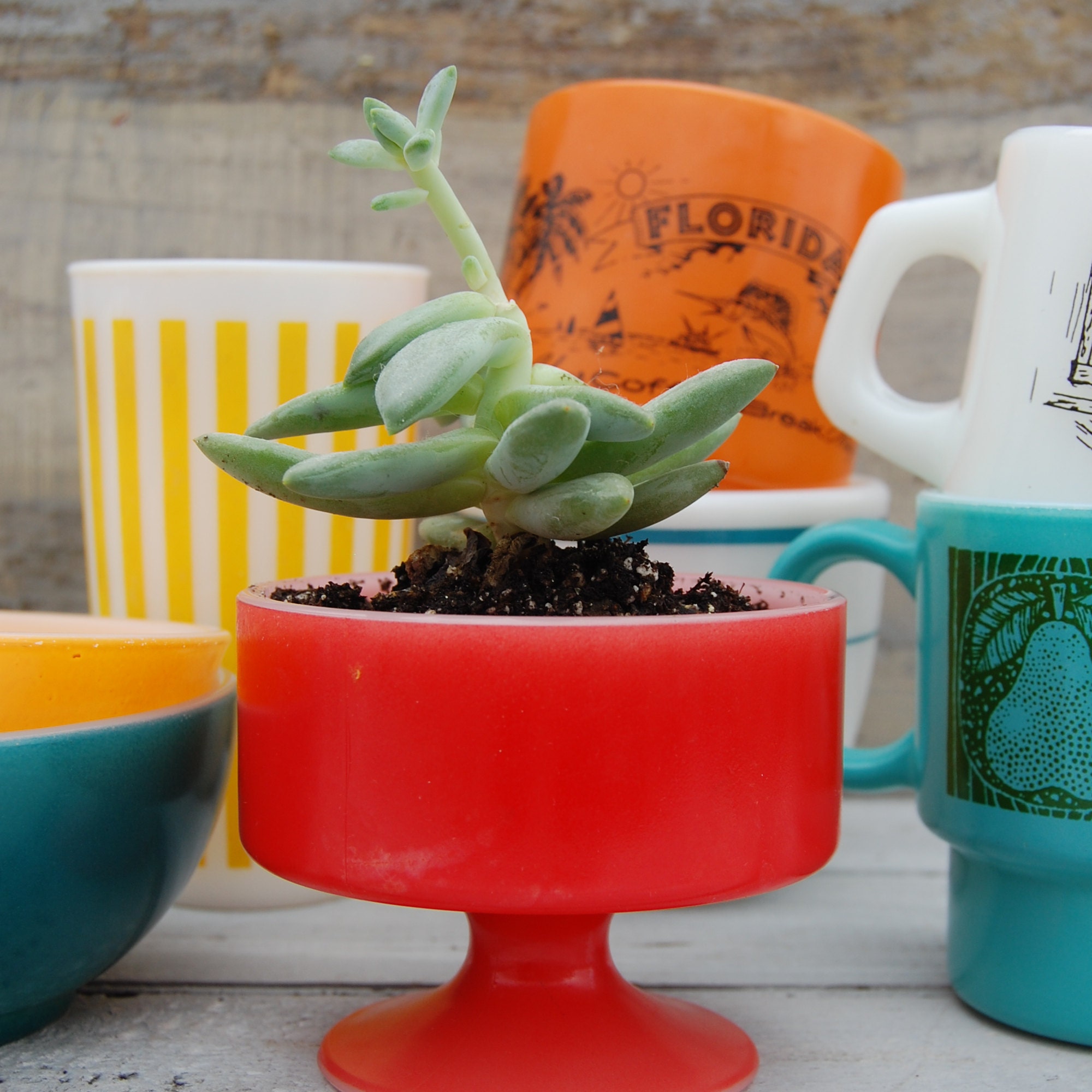 SweetPetuniaVintage - Etsy
