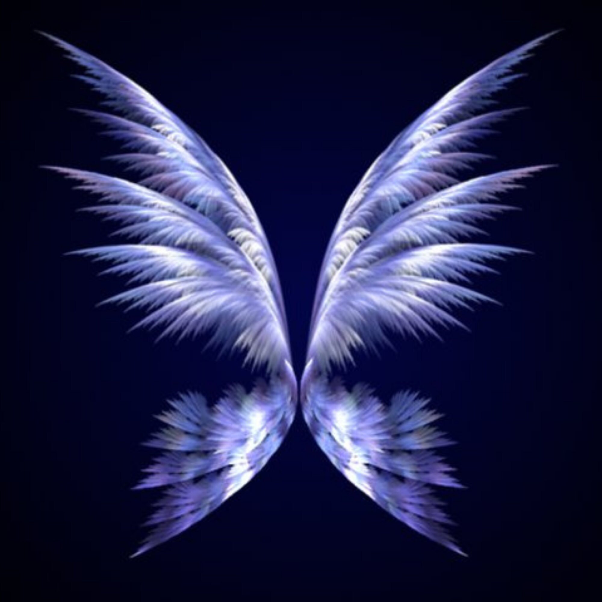 WingsShowRU - Etsy
