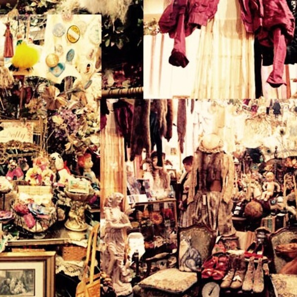 Purple HYACINTH BEAN Vine Trellis Plant 20 Seeds Thomas Jefferson ...