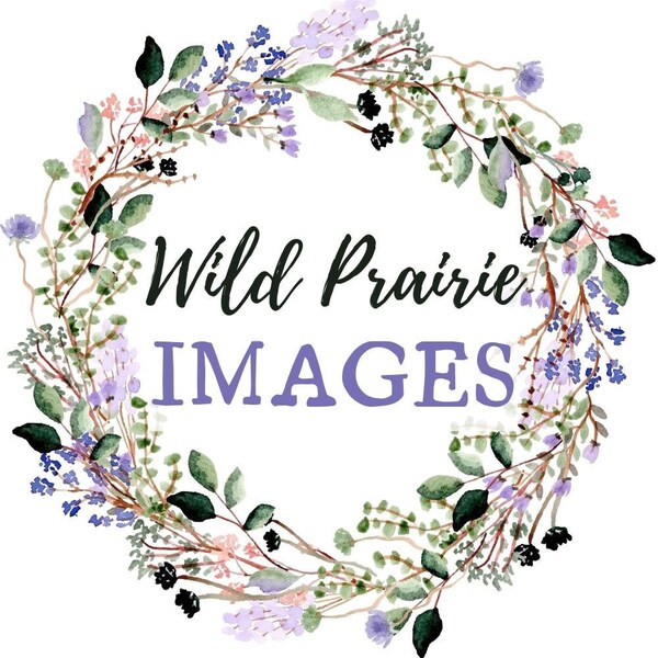 4 SIZES Backyard Bird Song Calls Mnemonics Print-birding Poster ...