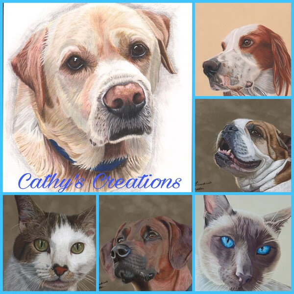 Swan Fine Art Giclee Print, From Hand Drawn Coloured Pencil Original ...