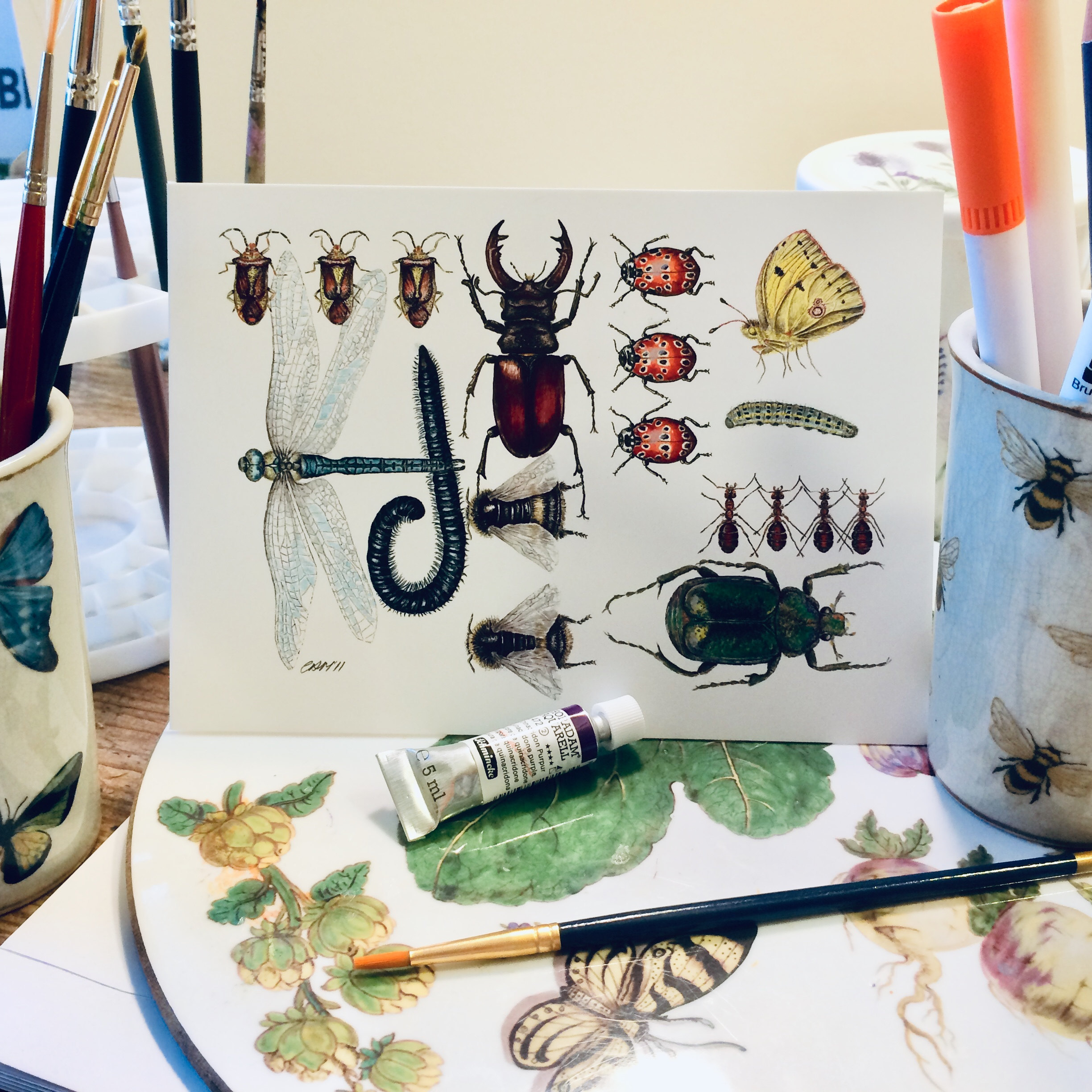 InsectArtByCath - Cath Hodsman, Insect Art Studio - Etsy UK